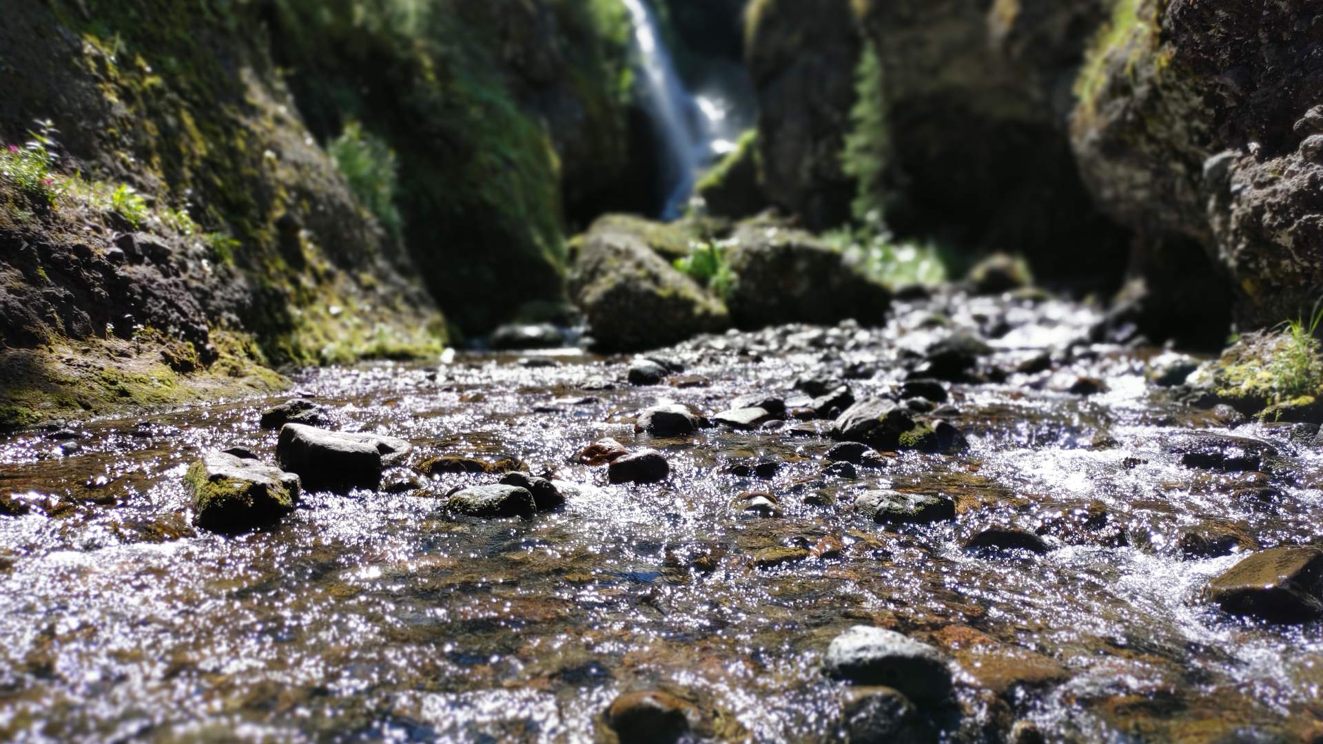 Rightworks OneSpace Firm Premier Portal